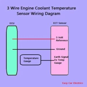 1, 2 & 3 Wire Coolant Temperature Sensor Wiring Diagram